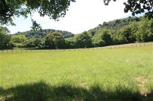 3.8 acres, Steep, Hampshire, GU32 1AA - UKLandandFarms.co.uk