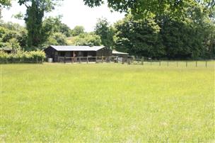 3.8 acres, Steep, Hampshire, GU32 1AA - UKLandandFarms.co.uk