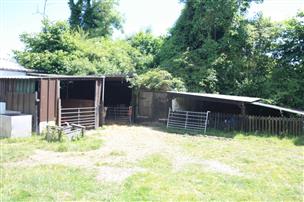 3.8 acres, Steep, Hampshire, GU32 1AA - UKLandandFarms.co.uk