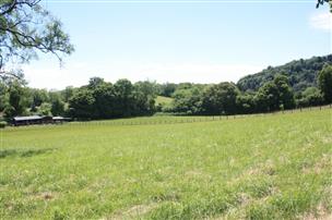 3.8 acres, Steep, Hampshire, GU32 1AA - UKLandandFarms.co.uk