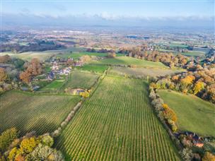 20.96 acres, Crook Road, Brenchley, Kent - UKLandandFarms.co.uk