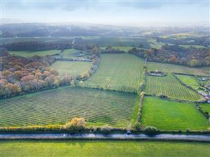 20.96 acres, Crook Road, Brenchley, Kent - UKLandandFarms.co.uk