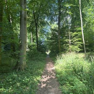 19.09 acres, Lower Wood, Wigginton, near Tring, Hertfordshire - UKLAF