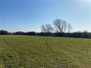 5.25 acres, Holme Farm,Thorngumbald, East Yorkshire - UKLAF