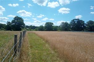 3 acres, Lyden Field is 2 acres between Hever and Edenbridge, Kent