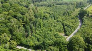 19.58 acres, The Grove and Clay Park Woods, Gara Bridge, Halwell, Devon