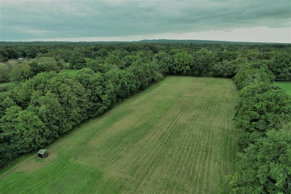 14 acres, Elstead, Surrey, GU8 6HQ - UKLandandFarms.co.uk