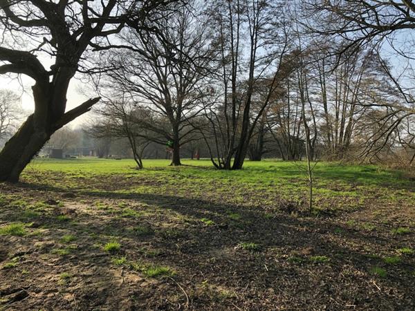 14 acres, Elstead, Surrey, GU8 6HQ - UKLandandFarms.co.uk