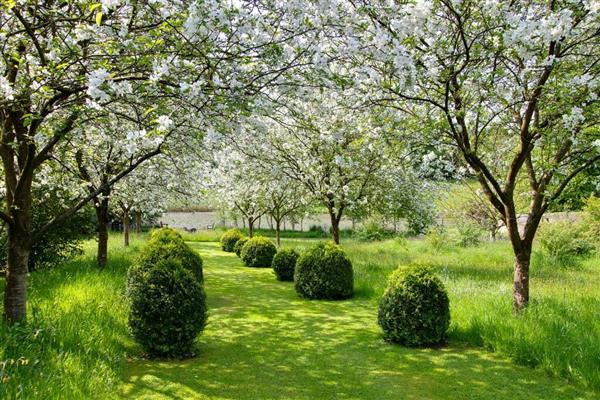 545 acres, Lawkland, North Yorkshire, LA2 8AT - UKLandandFarms.co.uk