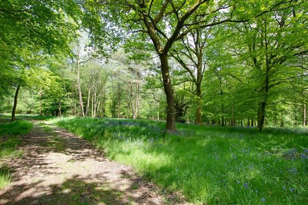 545 acres, Lawkland, North Yorkshire, LA2 8AT - UKLandandFarms.co.uk