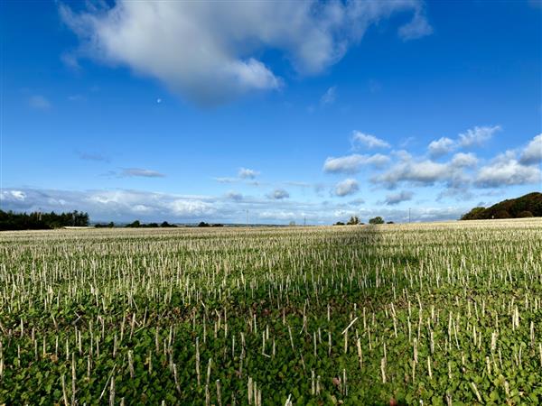 35.89 acres, Peth Lane, Lanchester, County Durham - UKLAF