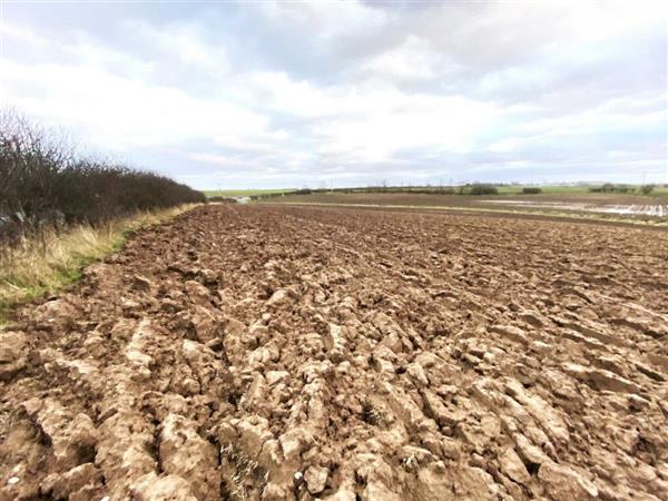 46.75 acres, Tunstall, Hull, East Yorkshire, HU12 0JN - UKLAF