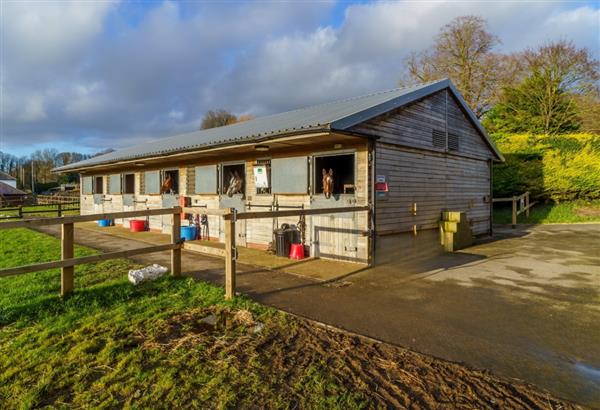 4 acres, Upper Lambourn, Hungerford, Berkshire, RG17 8QH - UKLAF