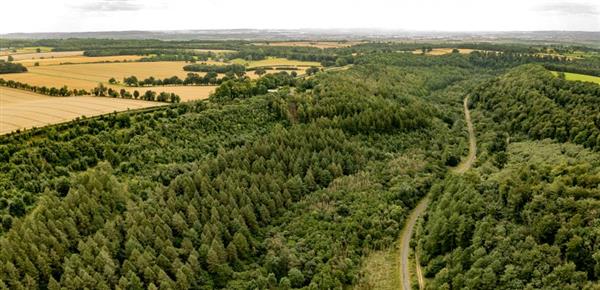 180.42 acres, Pickering Beck Wood, Kingthorpe, Pickering, North Yorkshire