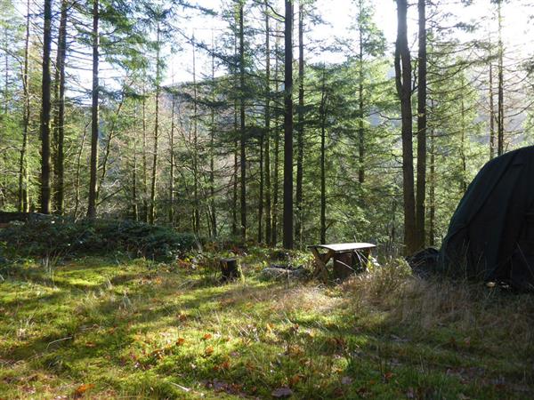 5.64 acres, Woodland for sale, Coed Graig Goch, Tywyn,, North Wales