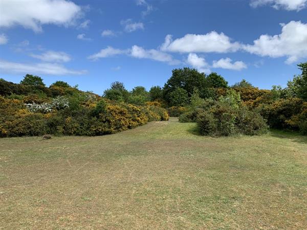 82 acres, Barrow Common, Common Lane, Brancaster, Norfolk - UKLAF