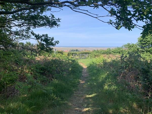 82 acres, Barrow Common, Common Lane, Brancaster, Norfolk - UKLAF