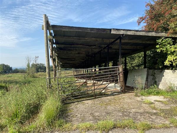 85 acres, Cwmifor, Llandeilo, Carmarthenshire., West Wales - UKLAF