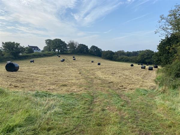 85 acres, Cwmifor, Llandeilo, Carmarthenshire., West Wales - UKLAF