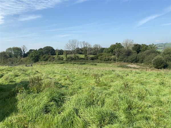 85 acres, Cwmifor, Llandeilo, Carmarthenshire., West Wales - UKLAF