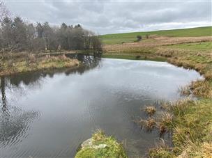 35.87 acres, Cellan, Lampeter, SA48, West Wales - UKLandandFarms.co.uk