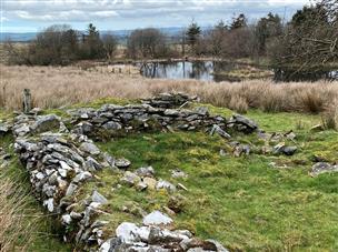 35.87 acres, Cellan, Lampeter, SA48, West Wales - UKLandandFarms.co.uk