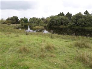 35.87 acres, Cellan, Lampeter, SA48, West Wales - UKLandandFarms.co.uk
