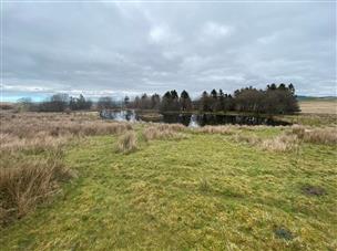 35.87 acres, Cellan, Lampeter, SA48, West Wales - UKLandandFarms.co.uk