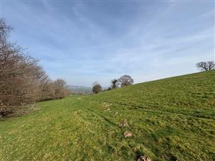 7.57 acres, Pontrhydfendigaid, Ystrad Meurig, SY25, West Wales - UKLAF