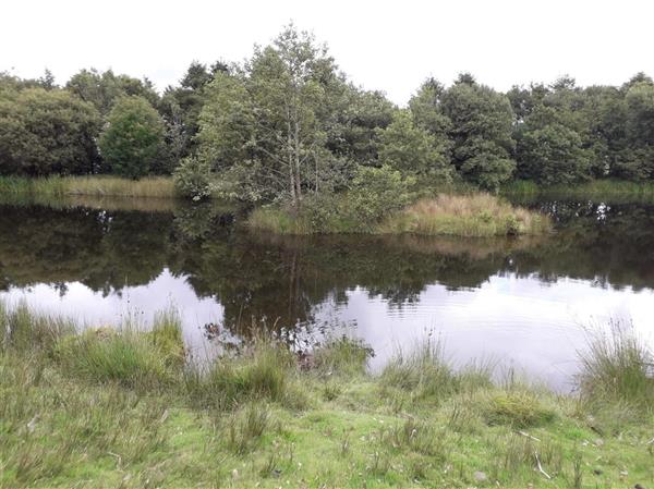 35.87 acres, Cellan, Lampeter, SA48, West Wales - UKLandandFarms.co.uk