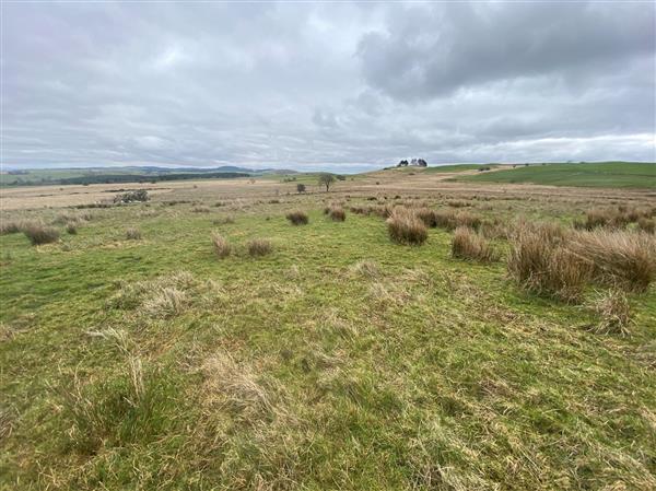 35.87 acres, Cellan, Lampeter, SA48, West Wales - UKLandandFarms.co.uk