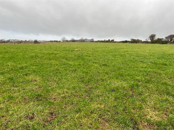15.4 acres, Rhydlewis, Llandysul, SA44, West Wales - UKLAF