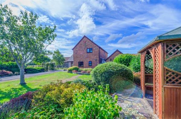 14 acres, Withy Road, West Huntspill, Highbridge, TA9, Somerset - UKLAF