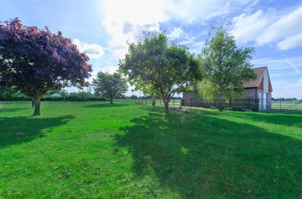 14 acres, Withy Road, West Huntspill, Highbridge, TA9, Somerset - UKLAF