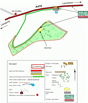 6 acres, Llanidloes, Powys, Mid Wales - UKLandandFarms.co.uk