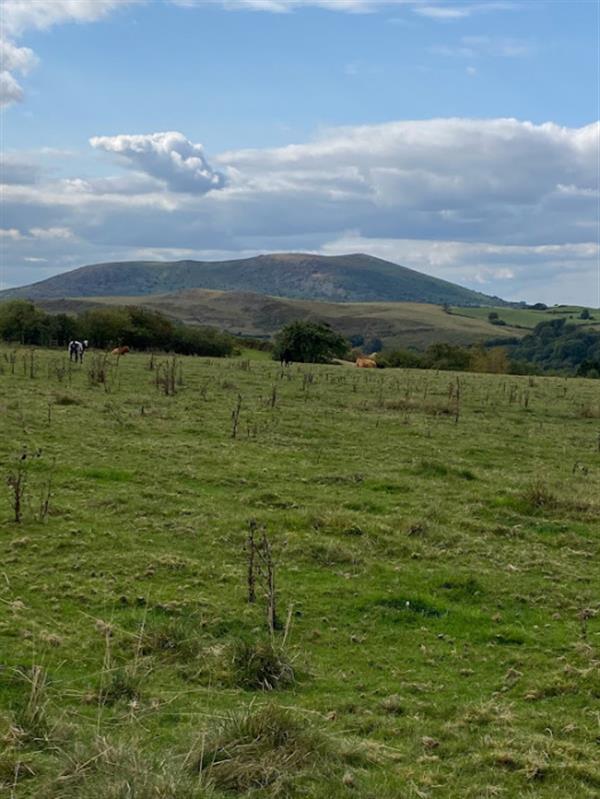 5 acres, Minsterley, Shropshire - UKLandandFarms.co.uk