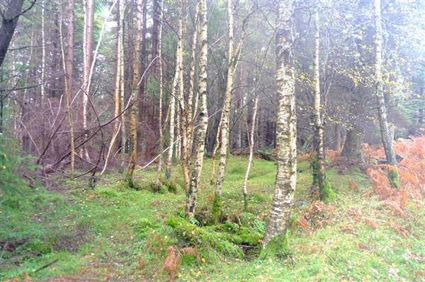 4.5 acres, Sauchen, Aberdeenshire, Highlands and Islands - UKLAF