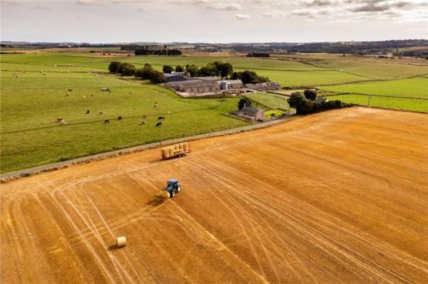 302.08 acres, Auchencrieve Farm, Methlick, Ellon, Aberdeenshire, AB41 ...