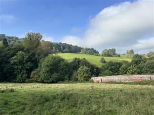 3.11 acres, Lot 2 - Land At Prinknash , A46, Cranham, Gloucester, GL4 ...